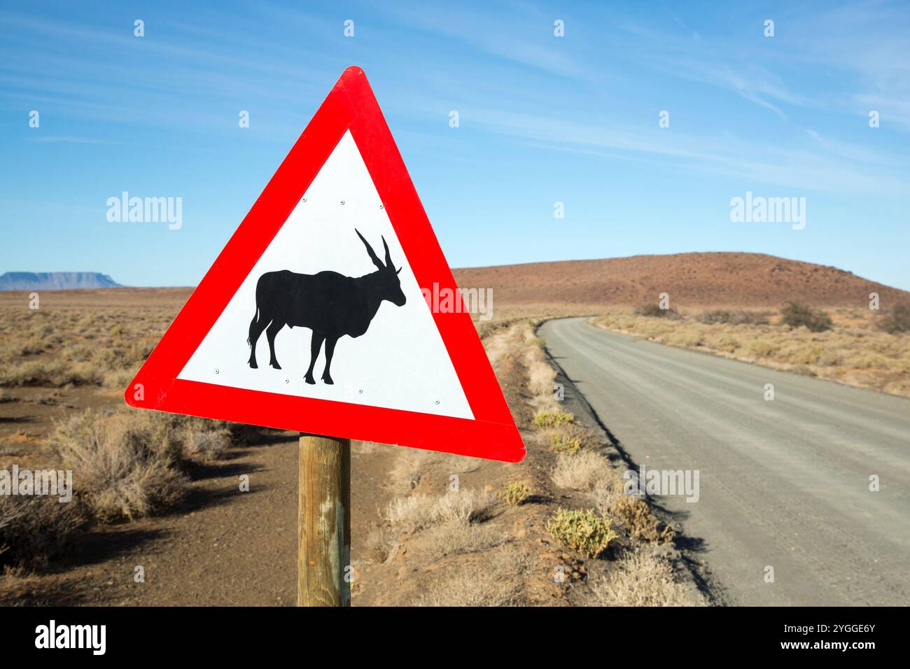Beware of animals sign, Tankwa Karoo National Park, South Africa Stock ...