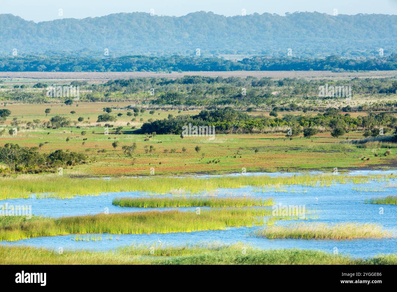Wetland, Isimangaliso Wetland Park, South Africa Stock Photo - Alamy