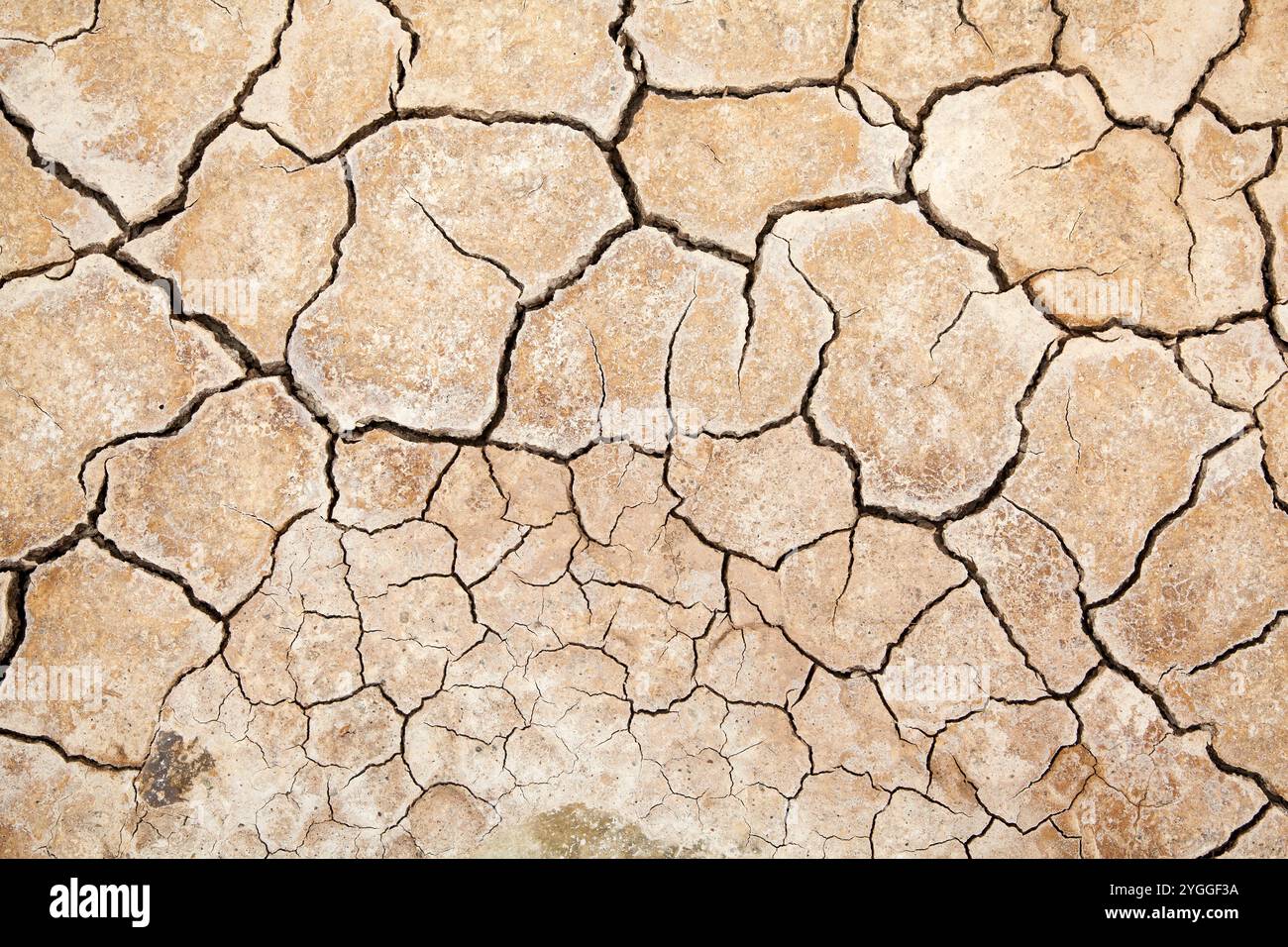 Mud cracks pattern, South AFrica Stock Photo - Alamy