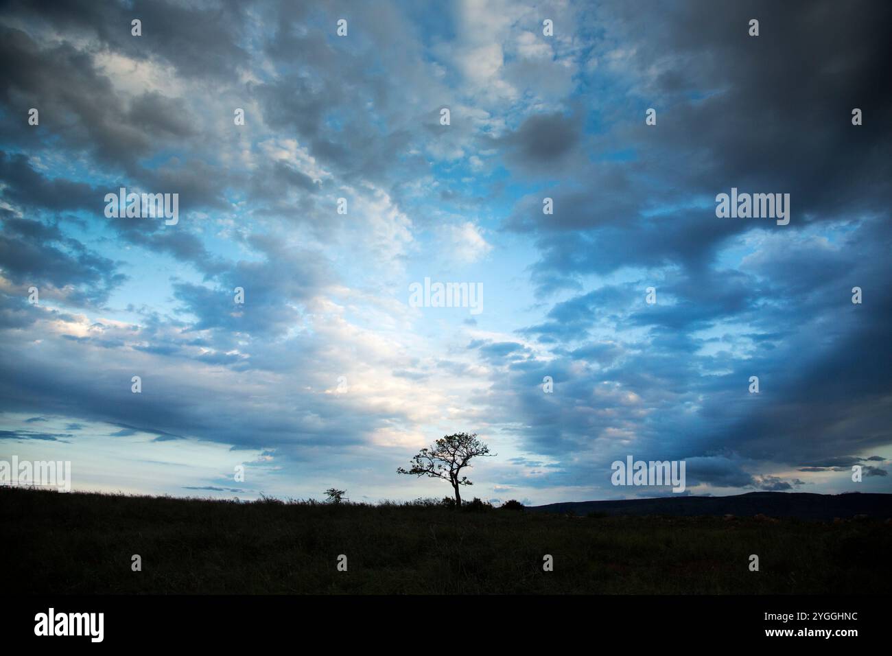 Africa, Bush, Itala Game Reserve, KwaZulu-Natal, Nature, No People ...