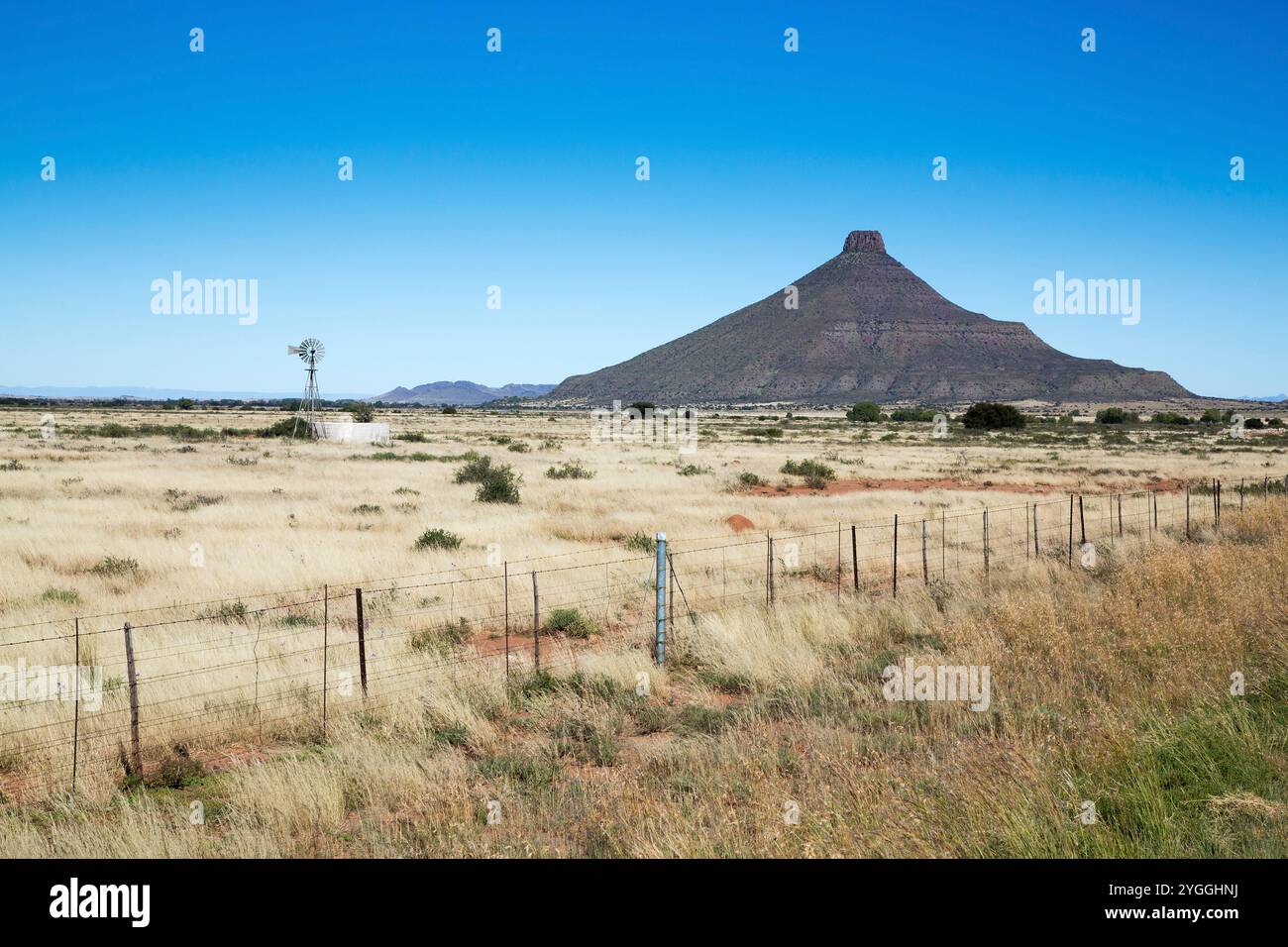 Africa, Agriculture, Bush, Eastern Cape Province, Farm, Fence ...