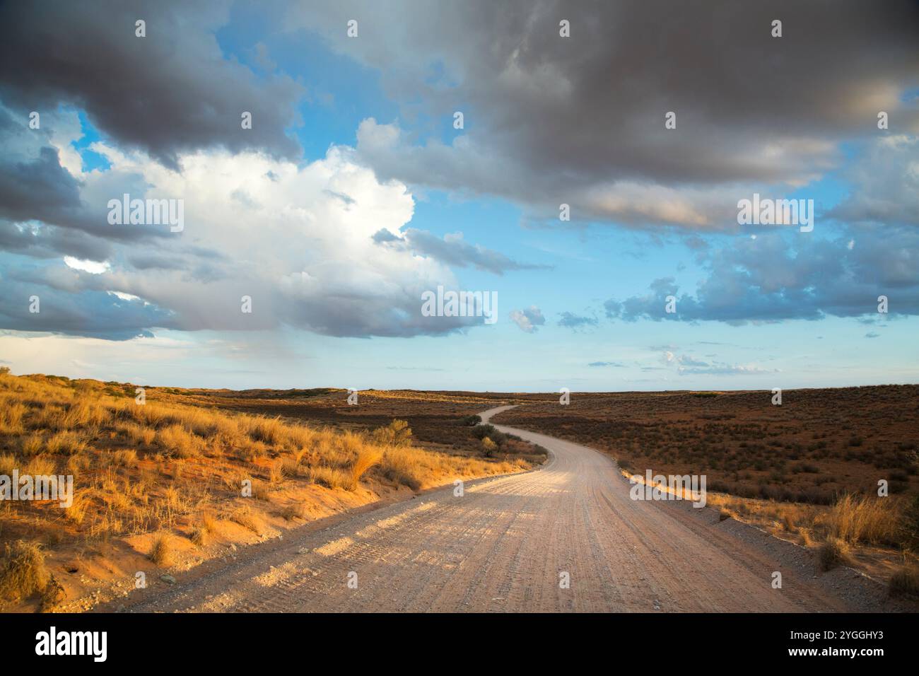 Africa, Beauty in nature, Bush, Desert, Gravel road, Kgalagadi ...