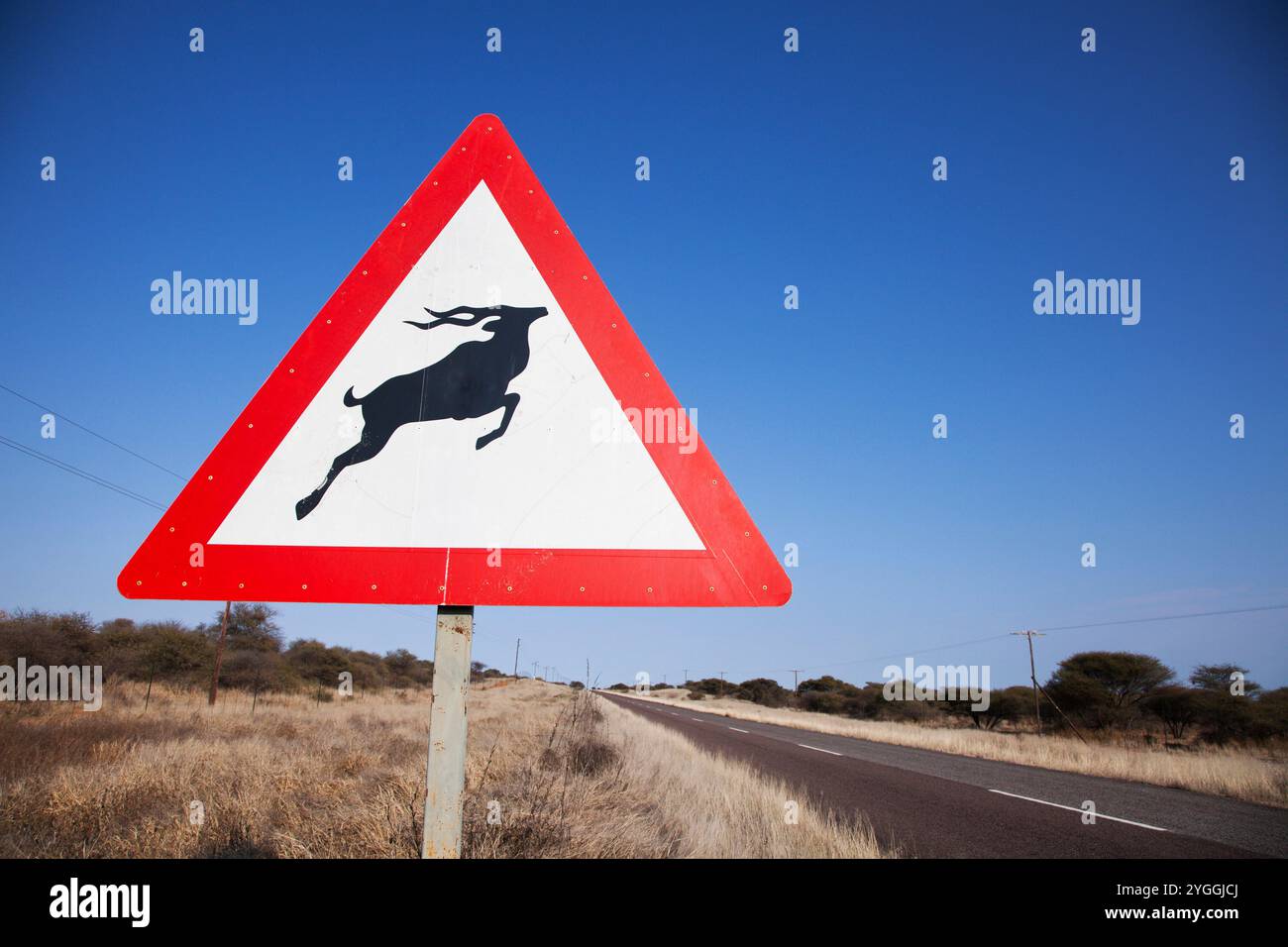 Beware animals sign hi-res stock photography and images - Alamy
