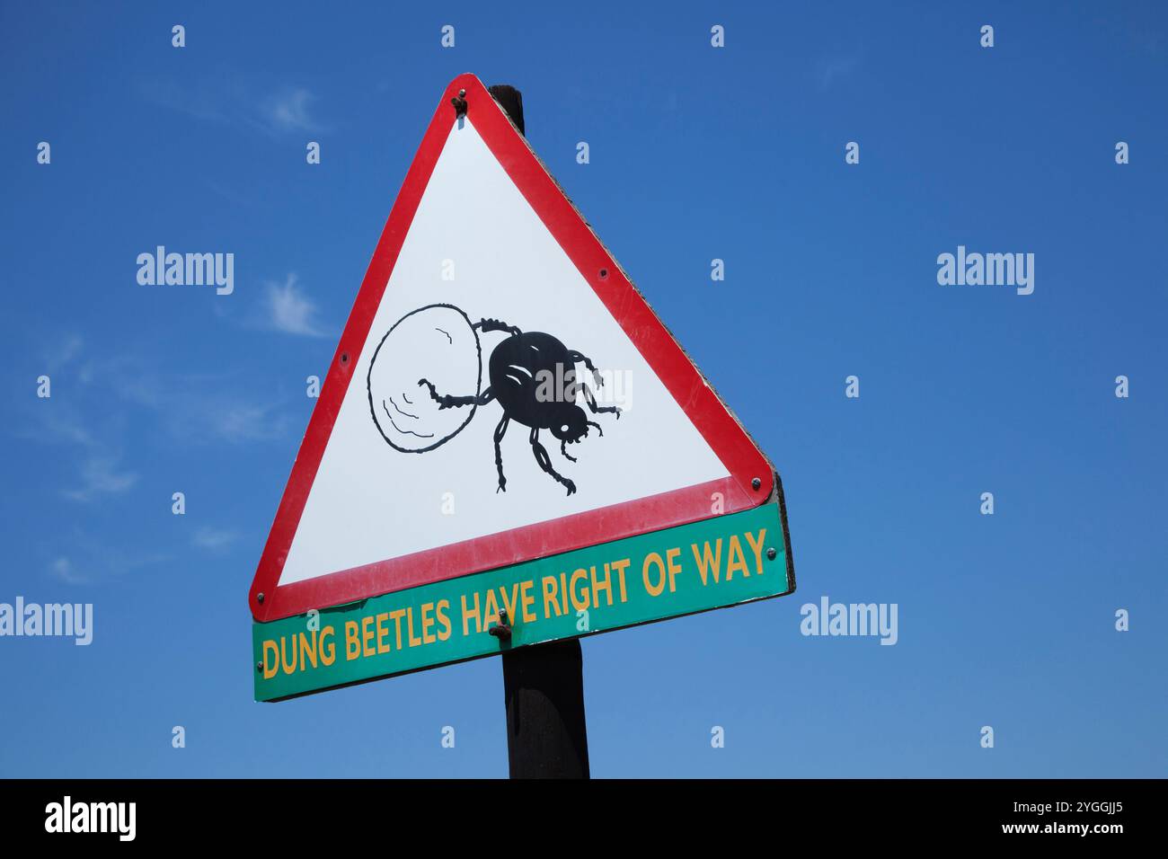 Beware of Dung Beetle Sign, South Africa Stock Photo - Alamy