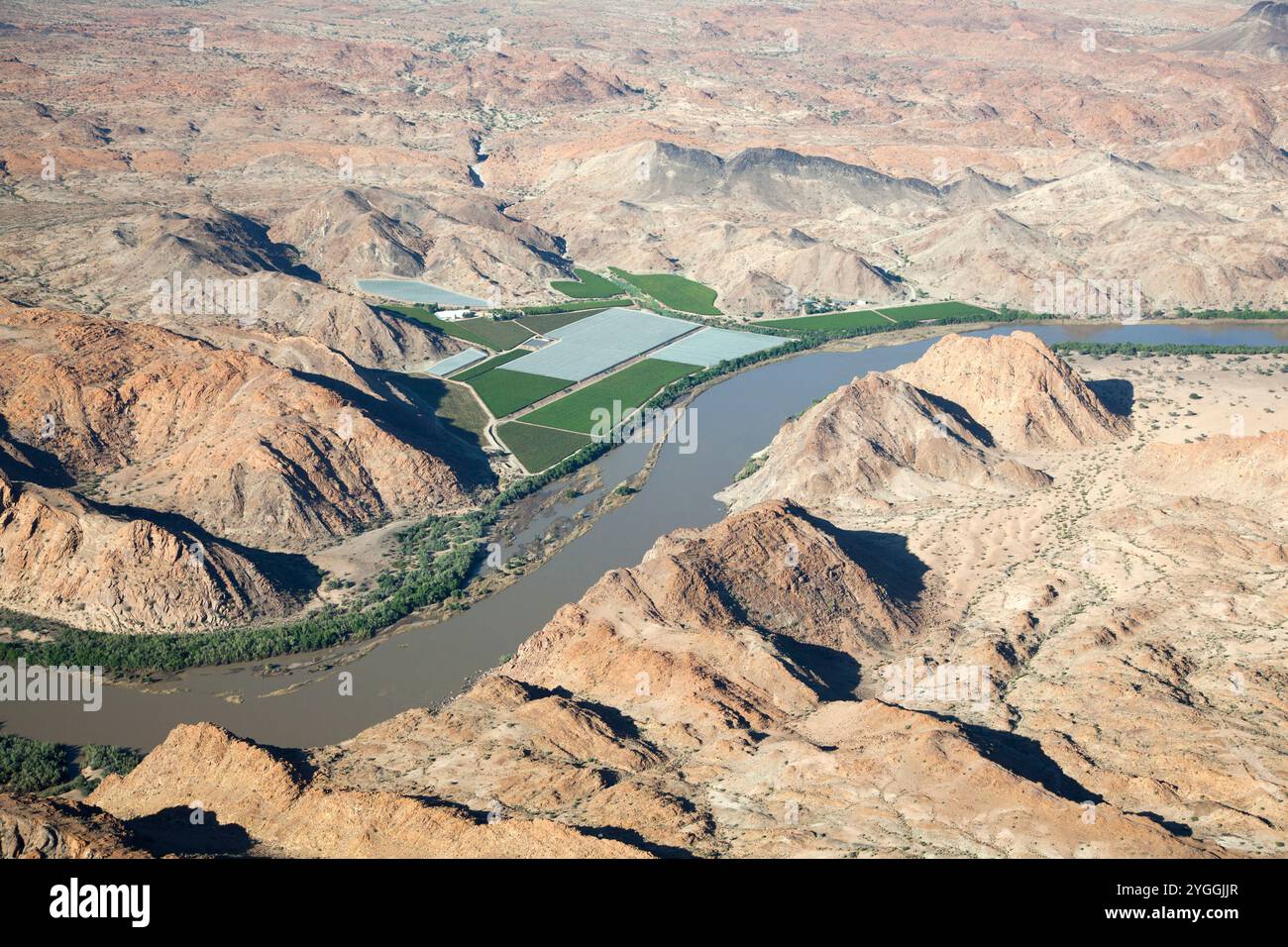 Vineyards on Orange River, South Africa Stock Photo - Alamy