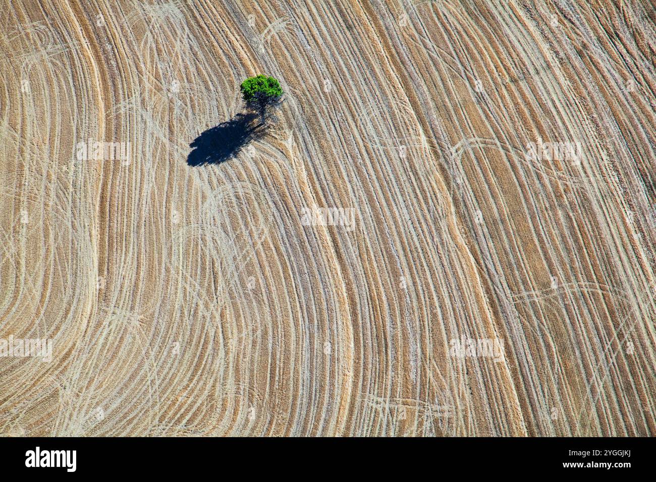 Wheatfield hi-res stock photography and images - Alamy