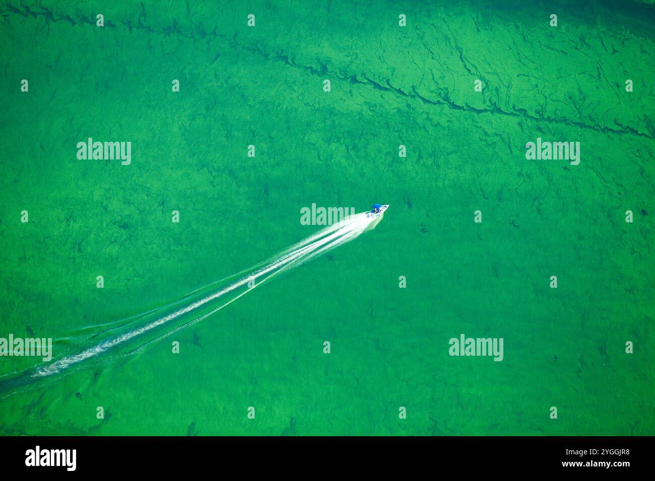 Algae hartbeespoort dam hi-res stock photography and images - Alamy