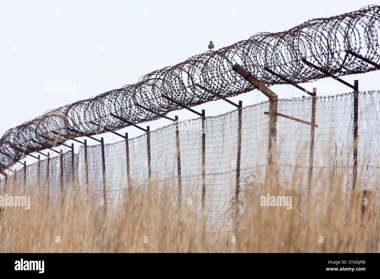 Nato security barrier hi-res stock photography and images - Alamy
