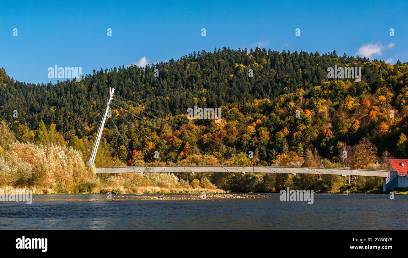 Serene mountain landscape featuring autumn-colored trees as seen from ...