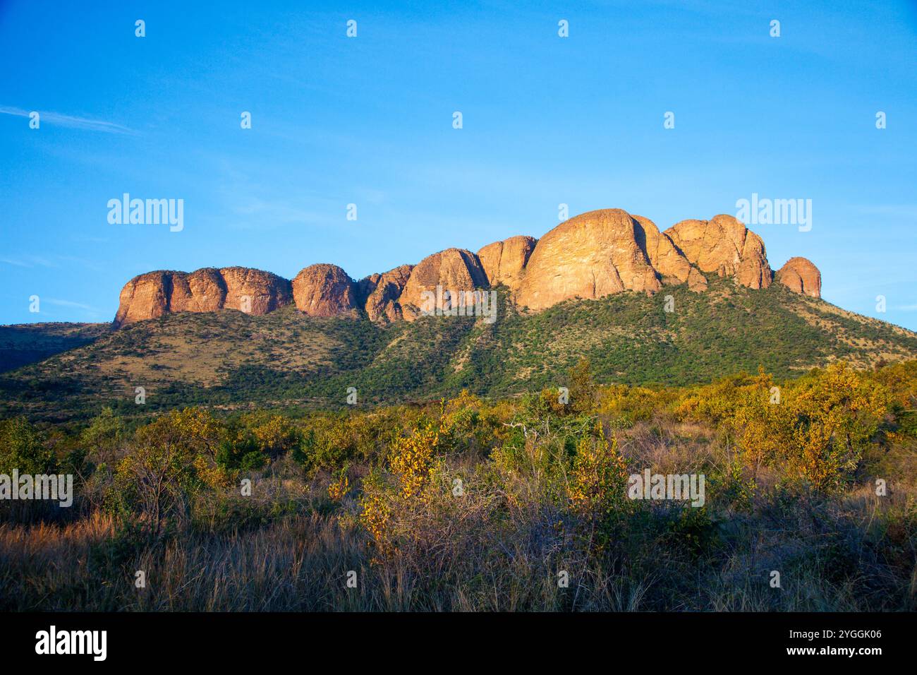 Marakele national park hi-res stock photography and images - Alamy