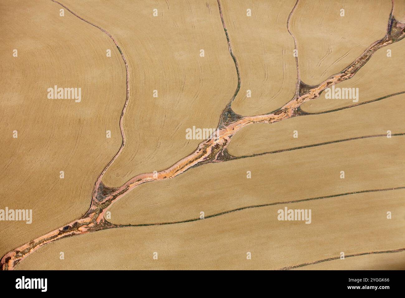 Aerial View of dry wheatfield, South Africa Stock Photo - Alamy