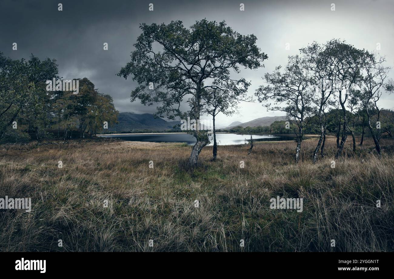 Loch Awe, Scotland Stock Photo - Alamy