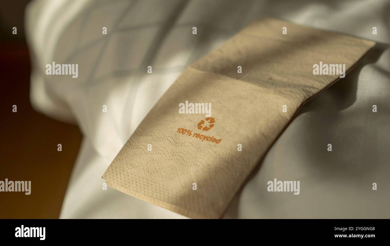 Disposable eco-friendly napkins made of recycled paper for reuse ...