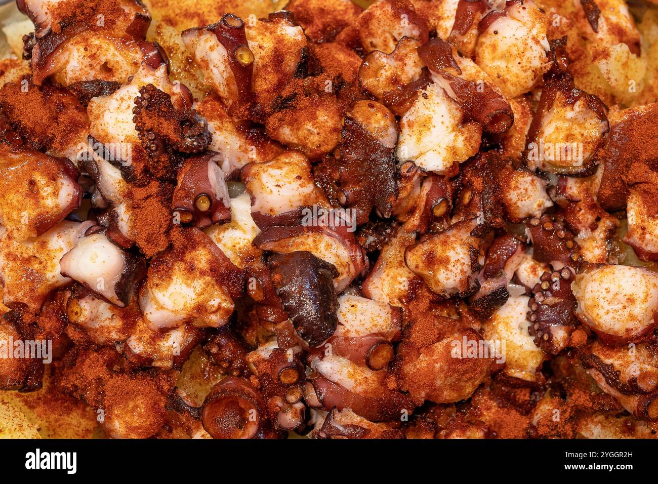 OCTOPUS GALICIAN STYLE WITH OLIVE OIL Stock Photo - Alamy