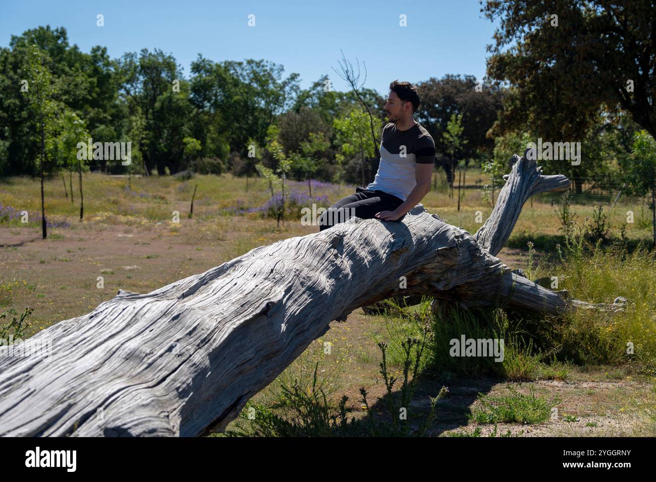 Young man sitting on tree hi-res stock photography and images - Alamy