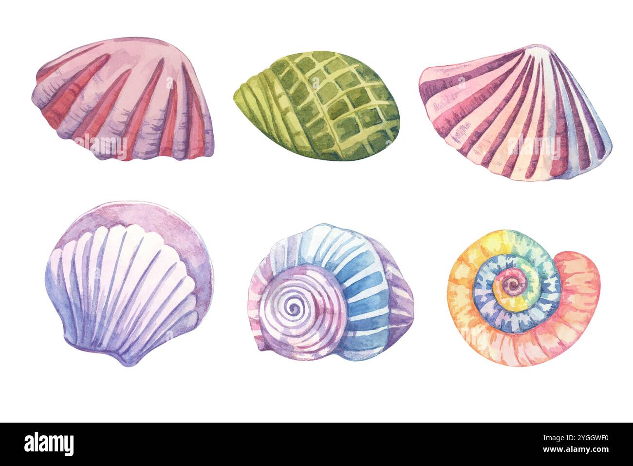 A set of watercolor shells in various colors and shapes. Underwater ...