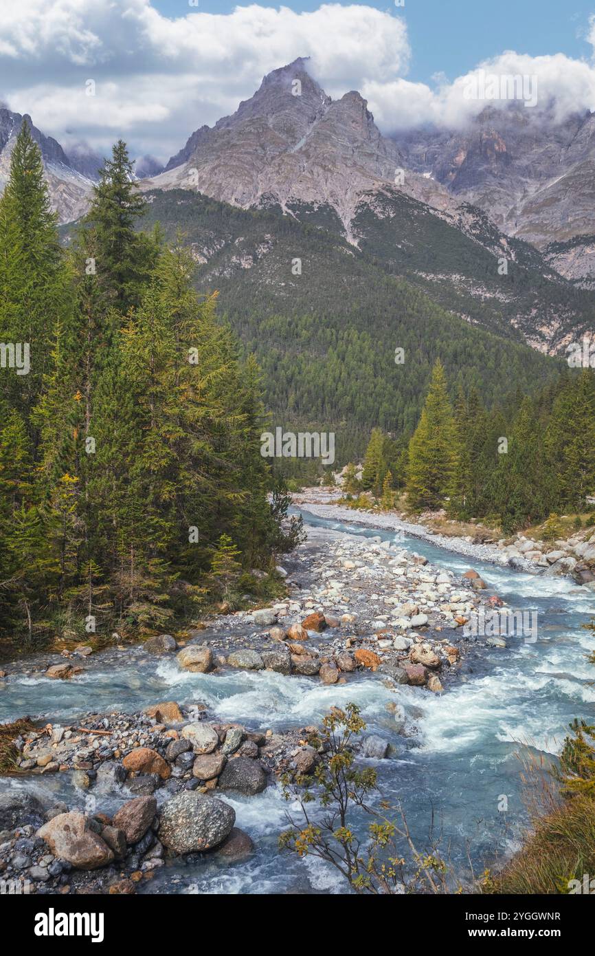 Alpine landscape near S-Charl, the Clemgia river flows along the valley ...
