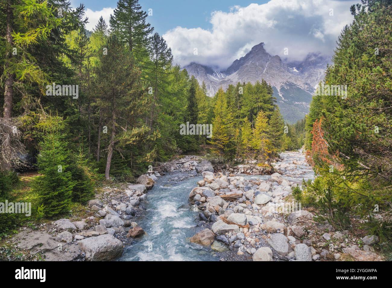 Alpine landscape near S-Charl, the Clemgia river flows along the valley ...