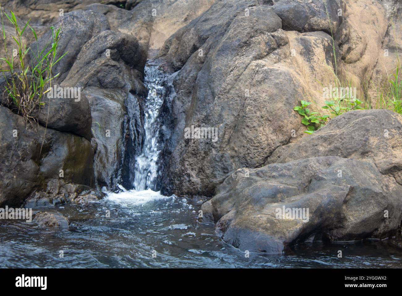 Tranquil Waters of the Muthirapuzha River Winding Through the Scenic ...