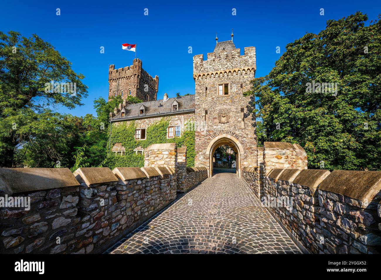 Klopp Castle near Bingen am Rhein, hilltop castle with well-preserved ...