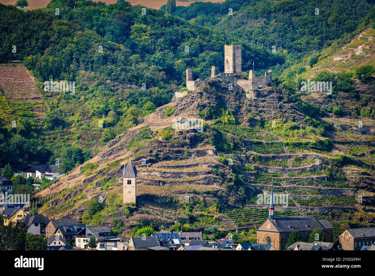 Lower castle in Kobern-Gondorf on the Lower Moselle, ruins of a ...