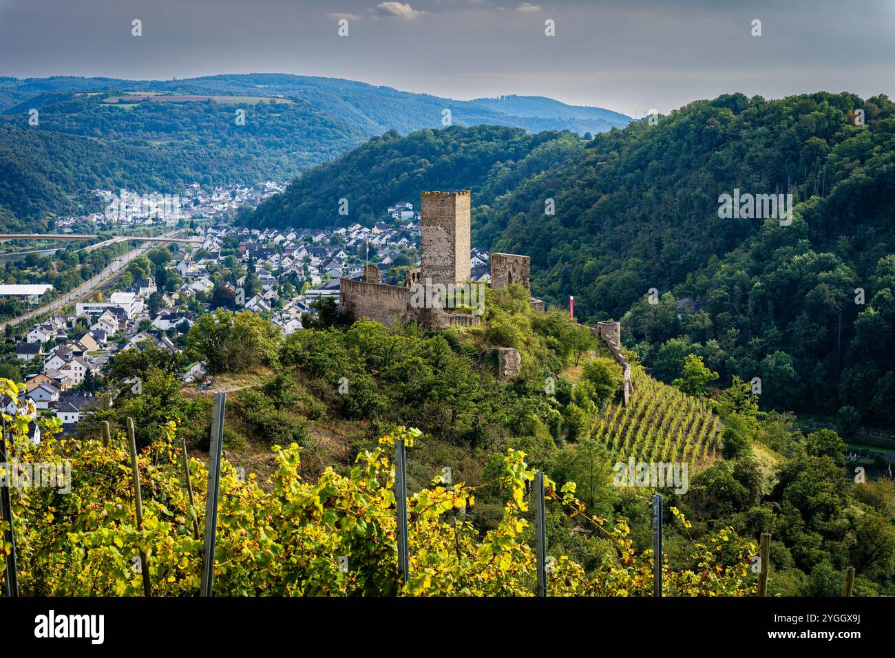 Lower castle in Kobern-Gondorf on the Lower Moselle, ruins of a ...