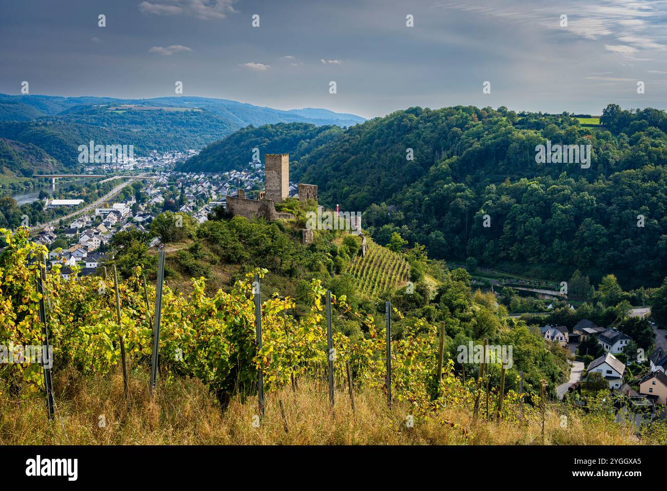 Lower castle in Kobern-Gondorf on the Lower Moselle, ruins of a ...