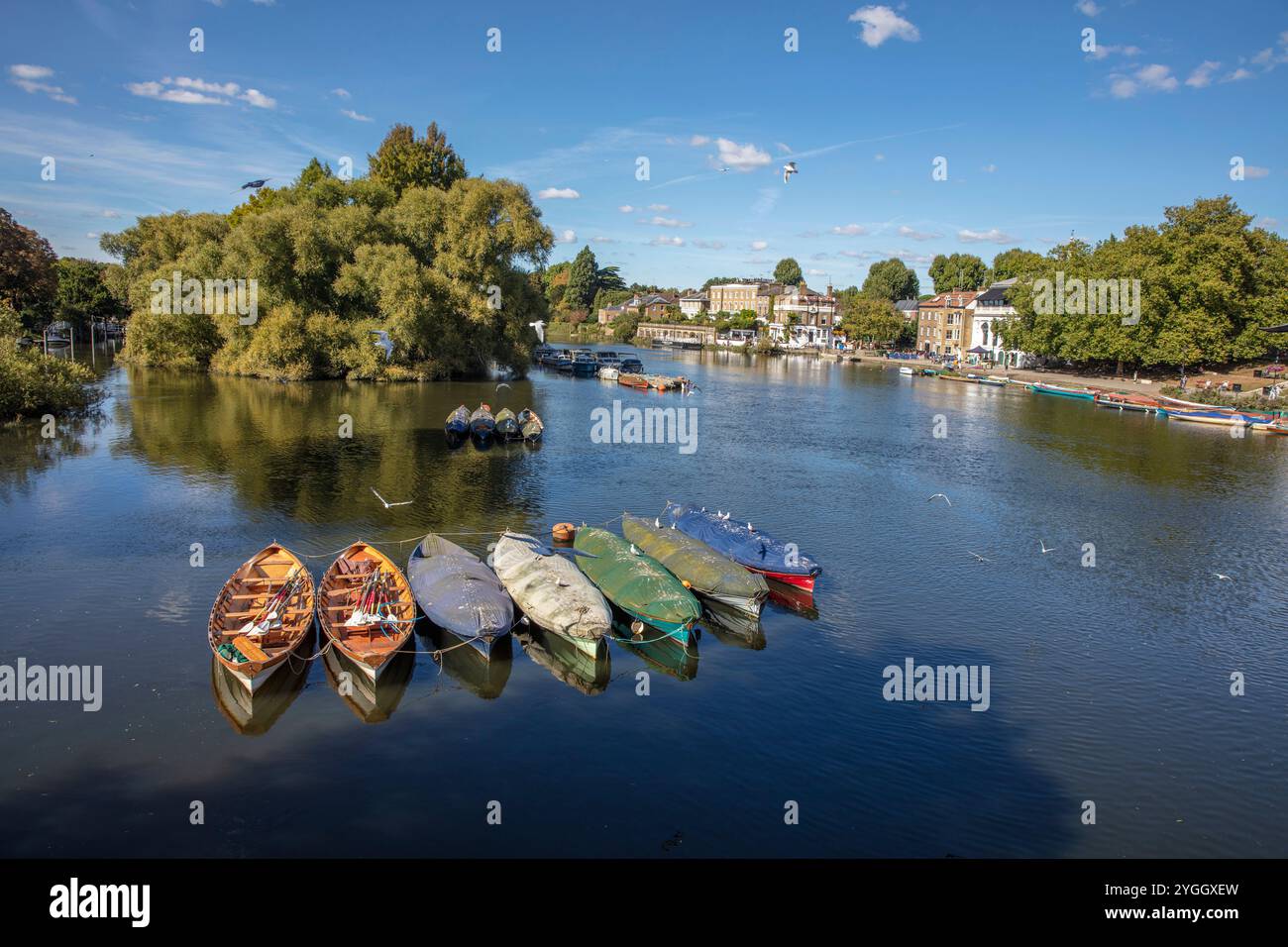 Great Britain, England, London Richmond Riverside, Thames, boats ...