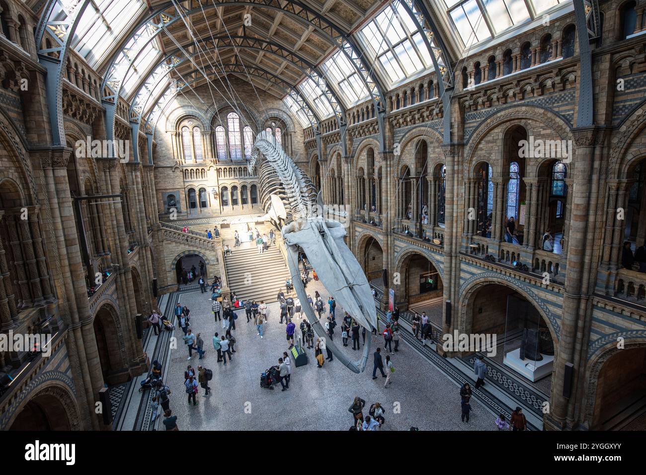 Great Britain, England, London City, Natural History Museum, Great Hall ...
