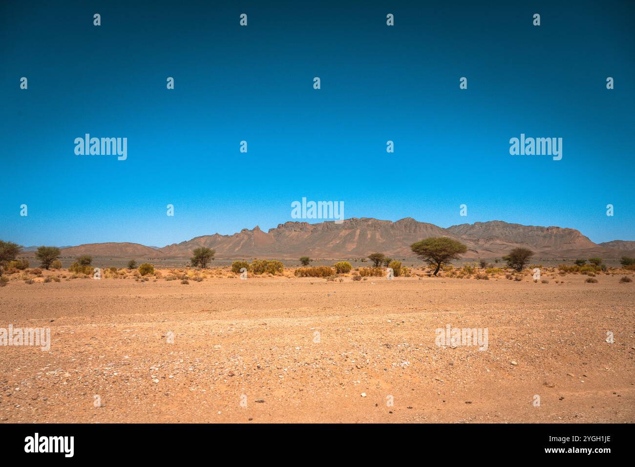 Morocco, landscape, hills, trees, oasis Stock Photo - Alamy