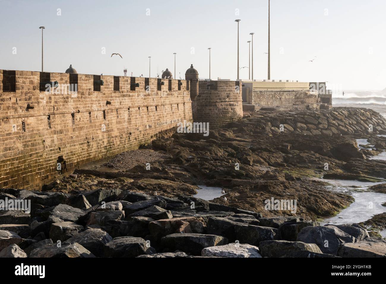 Morocco mole hi-res stock photography and images - Alamy