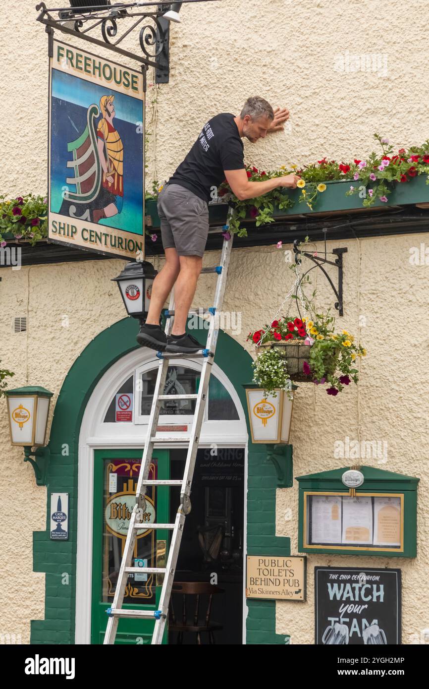 England, Kent, Whitstable, Man on Ladder Hanging Flower Baskets of The ...