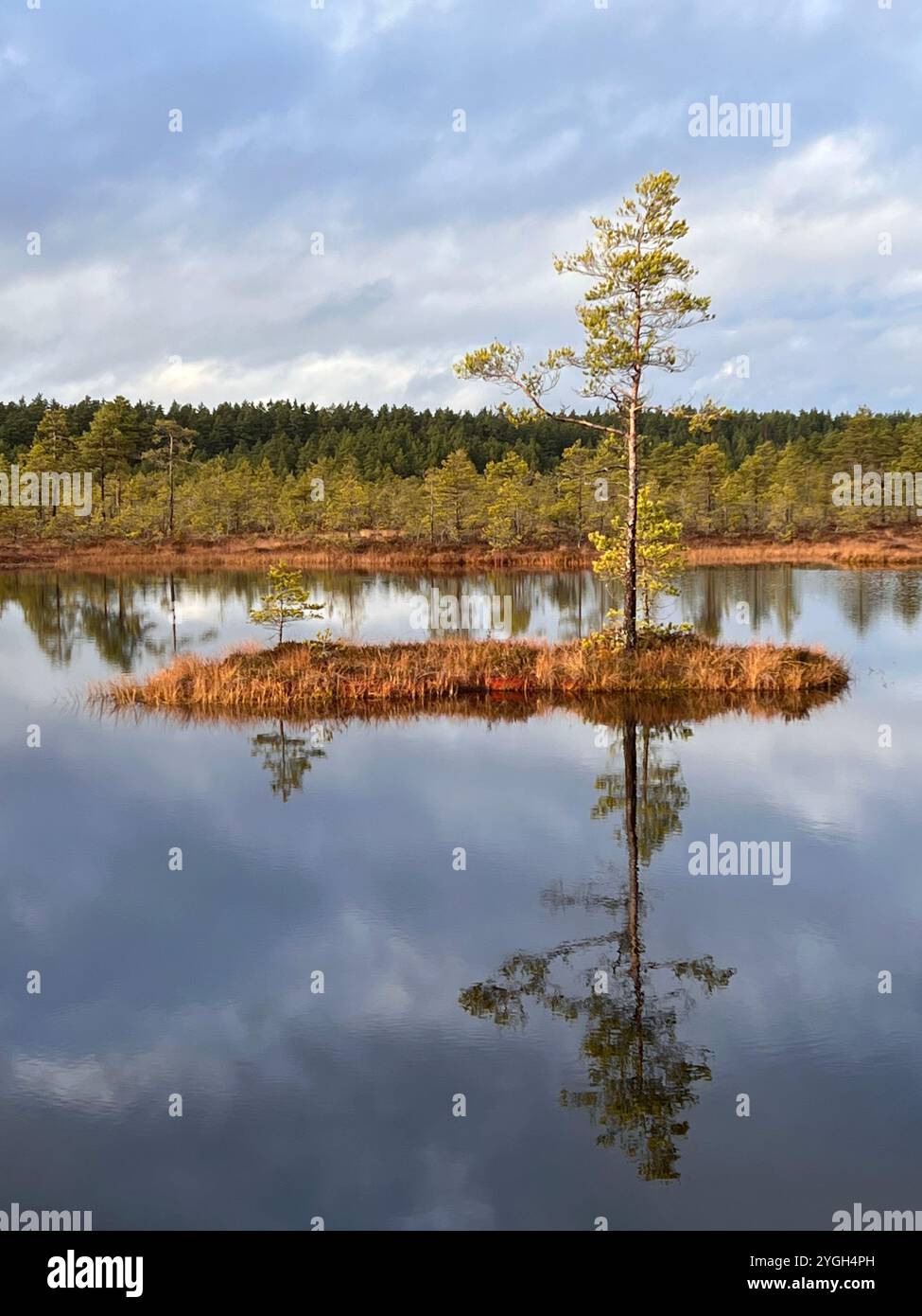 Bog scenic landscape hi-res stock photography and images - Alamy