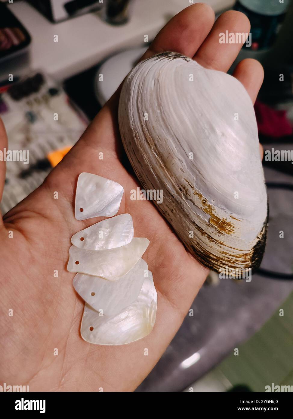 Shell craft project hi-res stock photography and images - Alamy