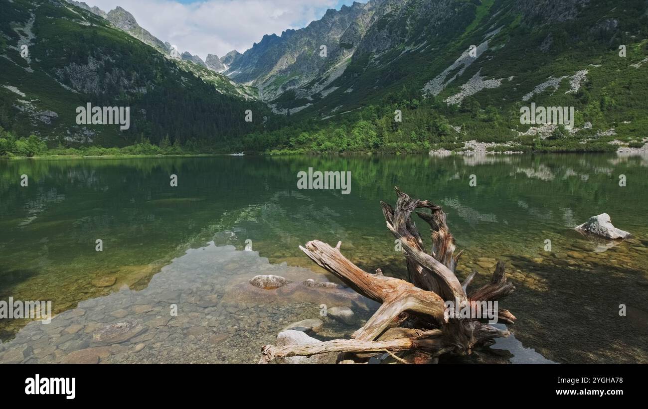 Poprad lake in High Tatras mountains Stock Photo - Alamy