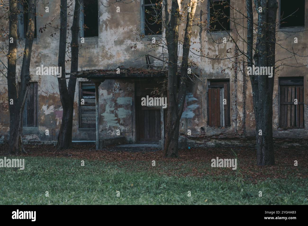 The back entrance to an abandoned building. The entrance is boarded up ...