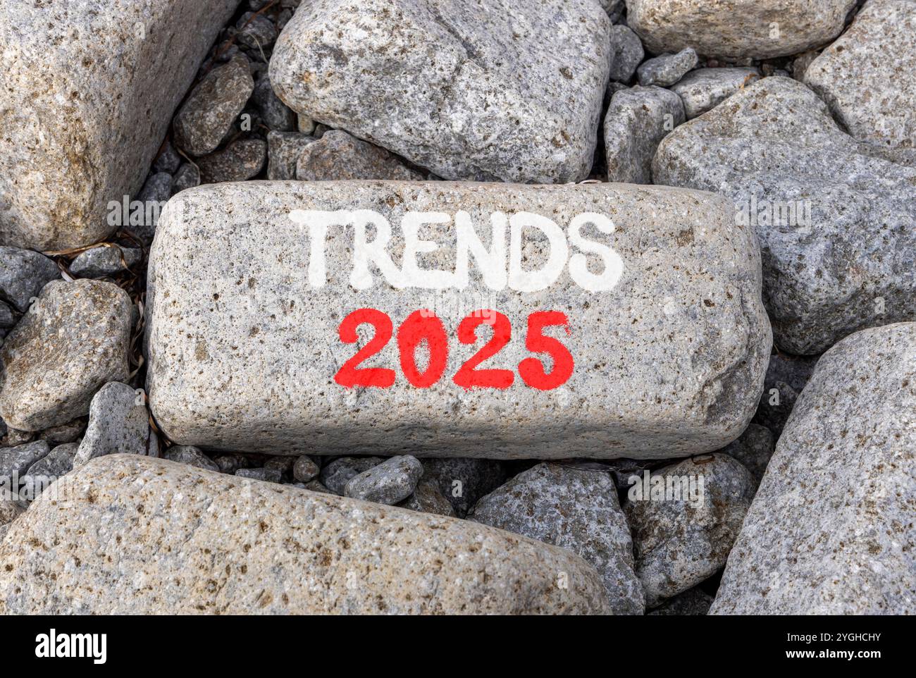 Planning trends 2025 new year symbol. Concept words Trends 2025 on ...