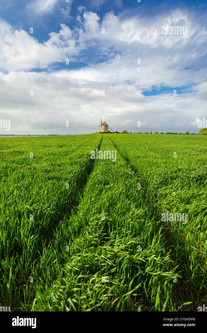 An old windmill in the countryside near Le Mont Saint Michel. Normandy ...