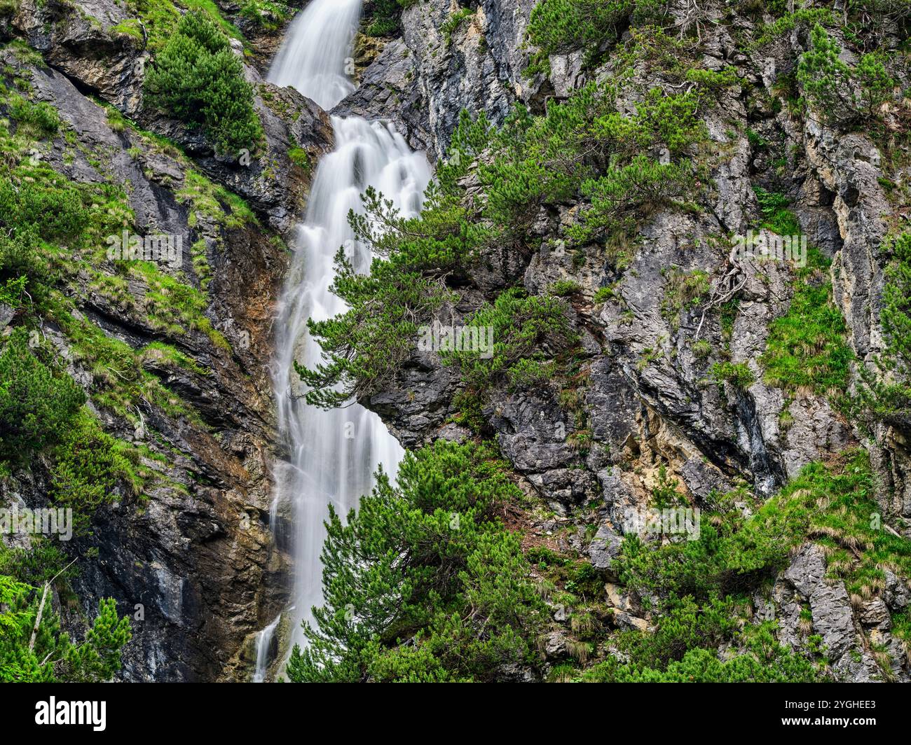 At the Höhenbach stream above Holzgau in the Upper Lechtal valley Stock ...