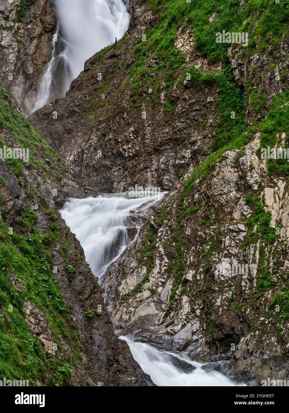 At the Höhenbach stream above Holzgau in the Upper Lechtal valley Stock ...