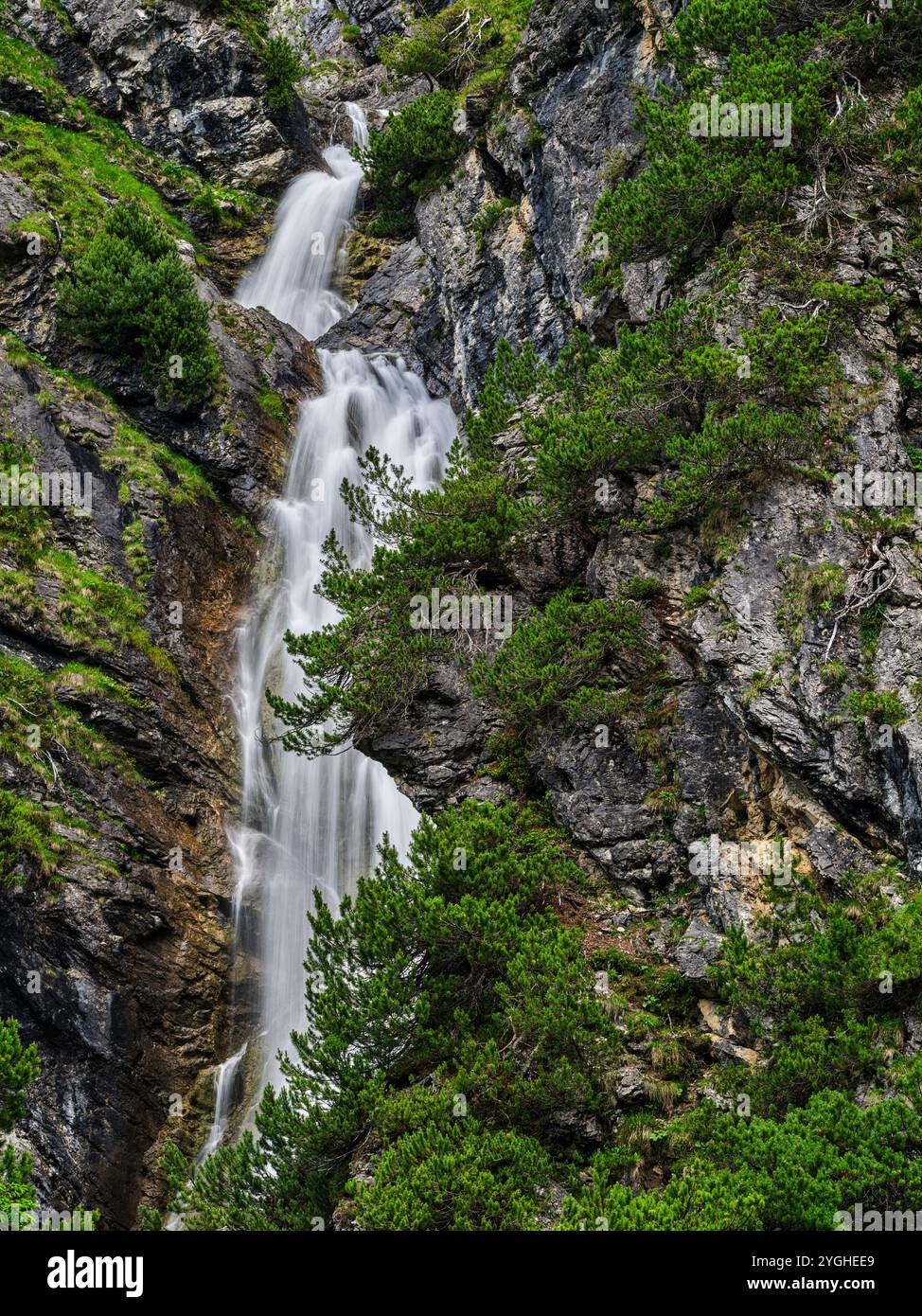 At the Höhenbach stream above Holzgau in the Upper Lechtal valley Stock ...