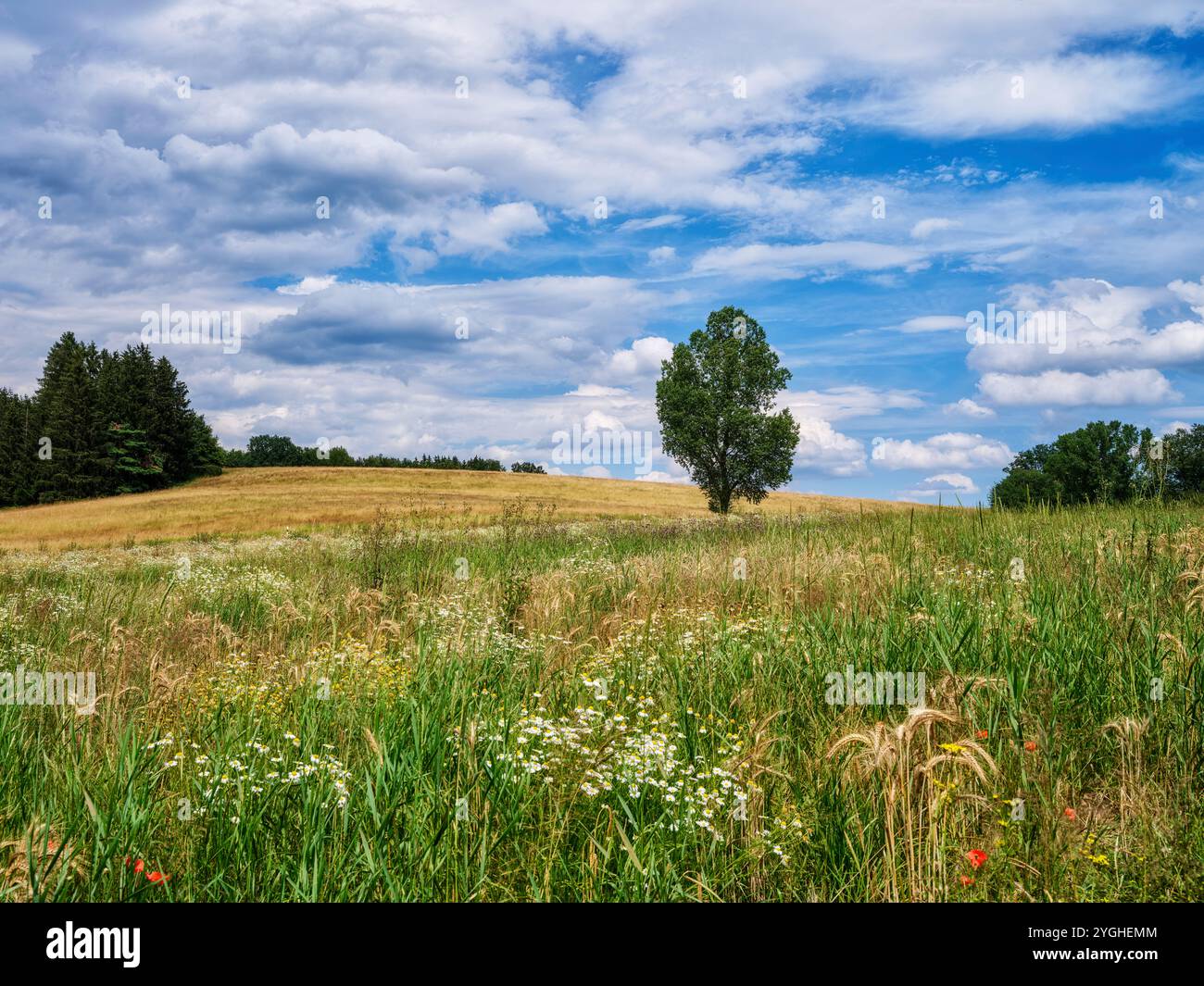 Haberskirch hi-res stock photography and images - Alamy