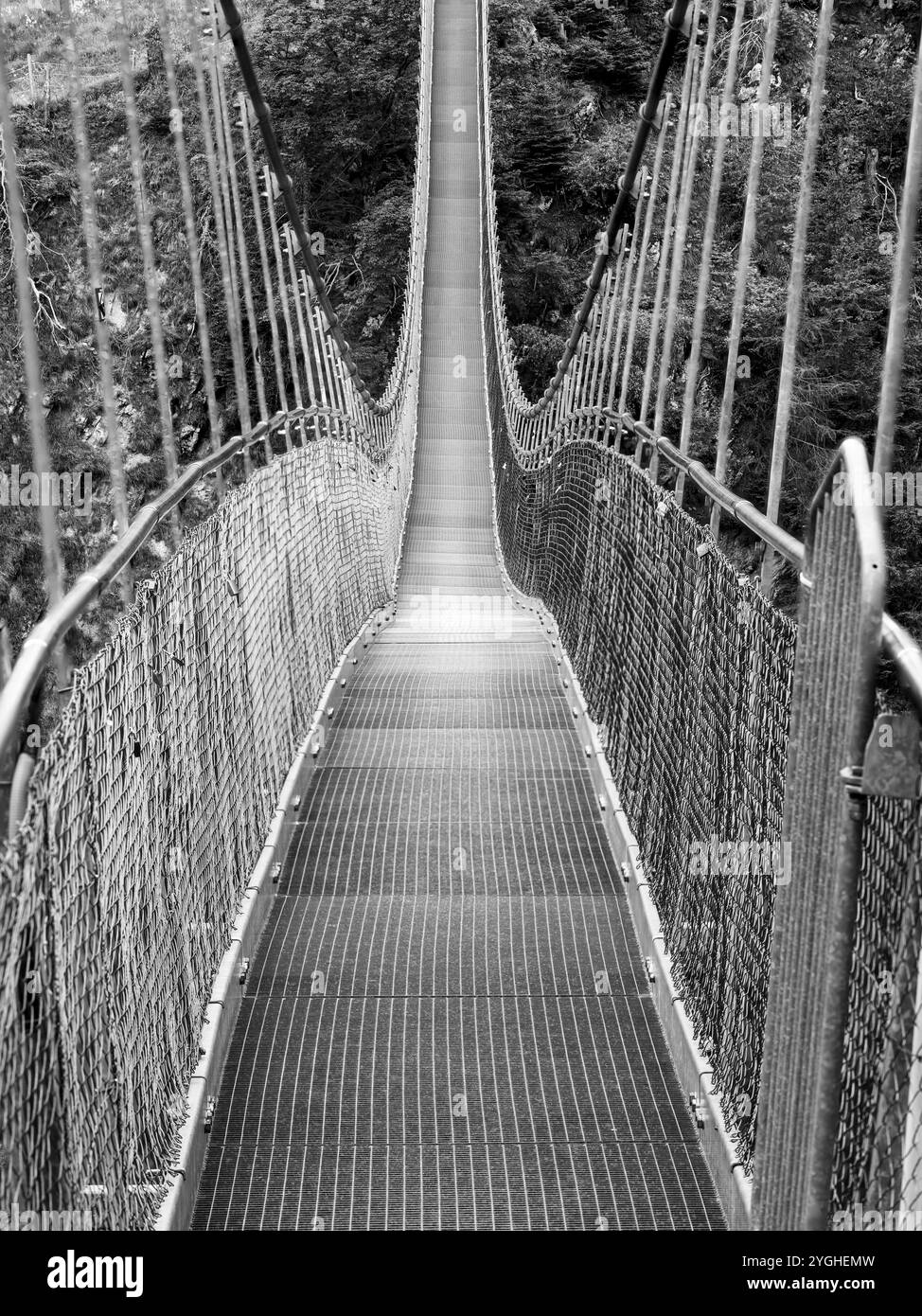 Landscape stream mountain valley in Black and White Stock Photos ...