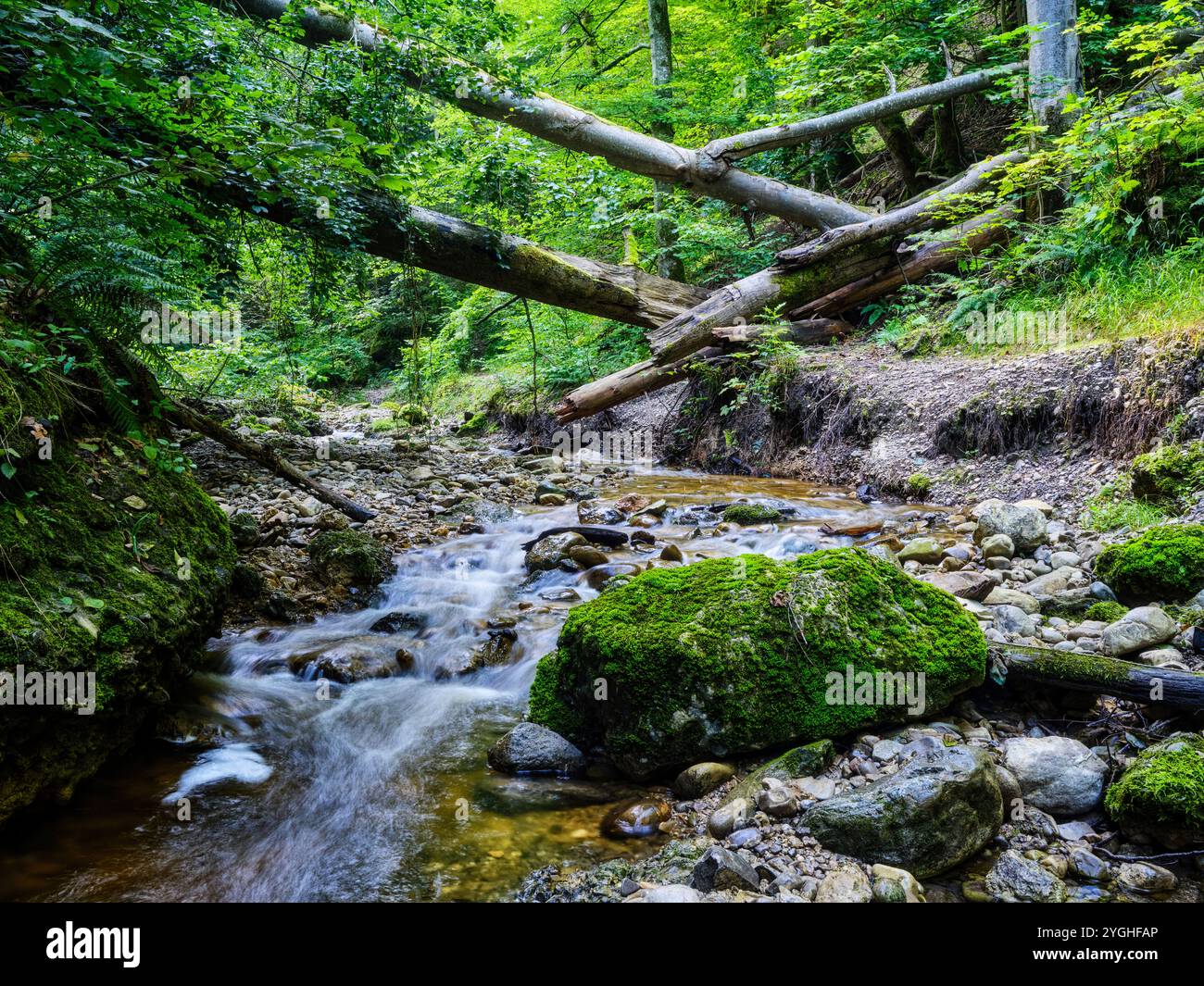 In the Pähler Gorge Stock Photo - Alamy