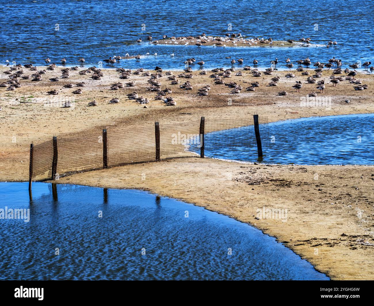 In the Geltinger Birk on the edge of Geltinger Bay Stock Photo - Alamy