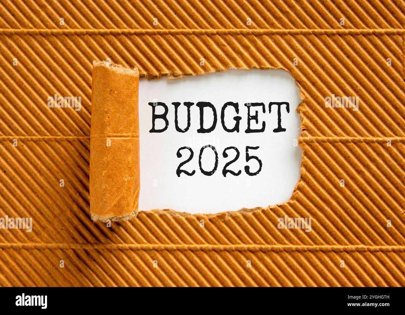 Planning budget 2025 new year symbol. Concept words Budget 2025 on ...