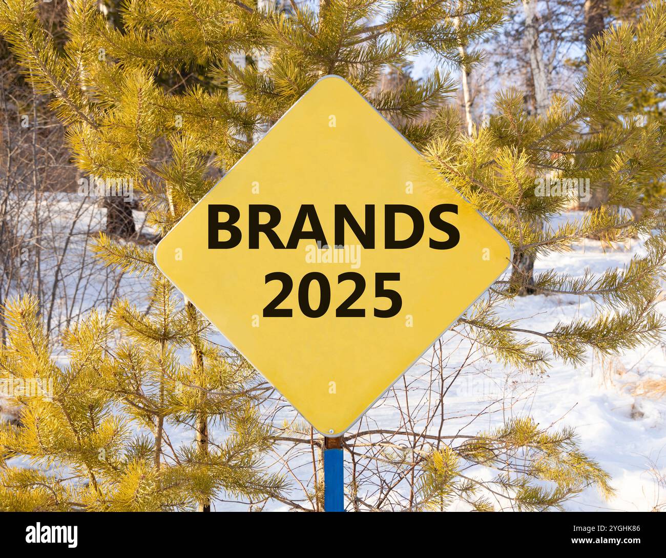 Planning brands 2025 new year symbol. Concept words Brands 2025 on ...