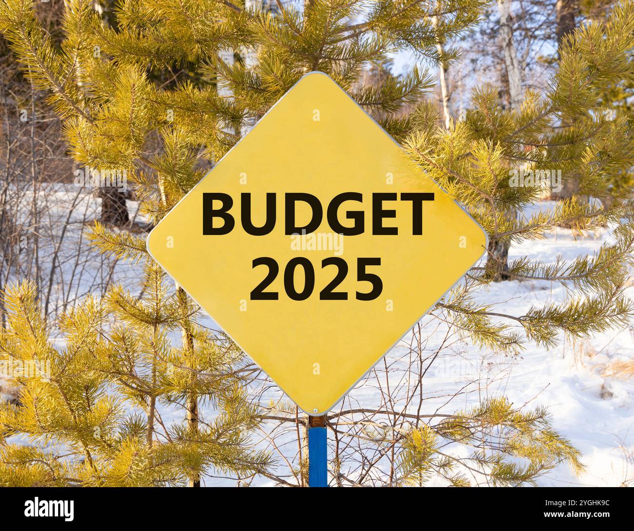 Planning budget 2025 new year symbol. Concept words Budget 2025 on ...
