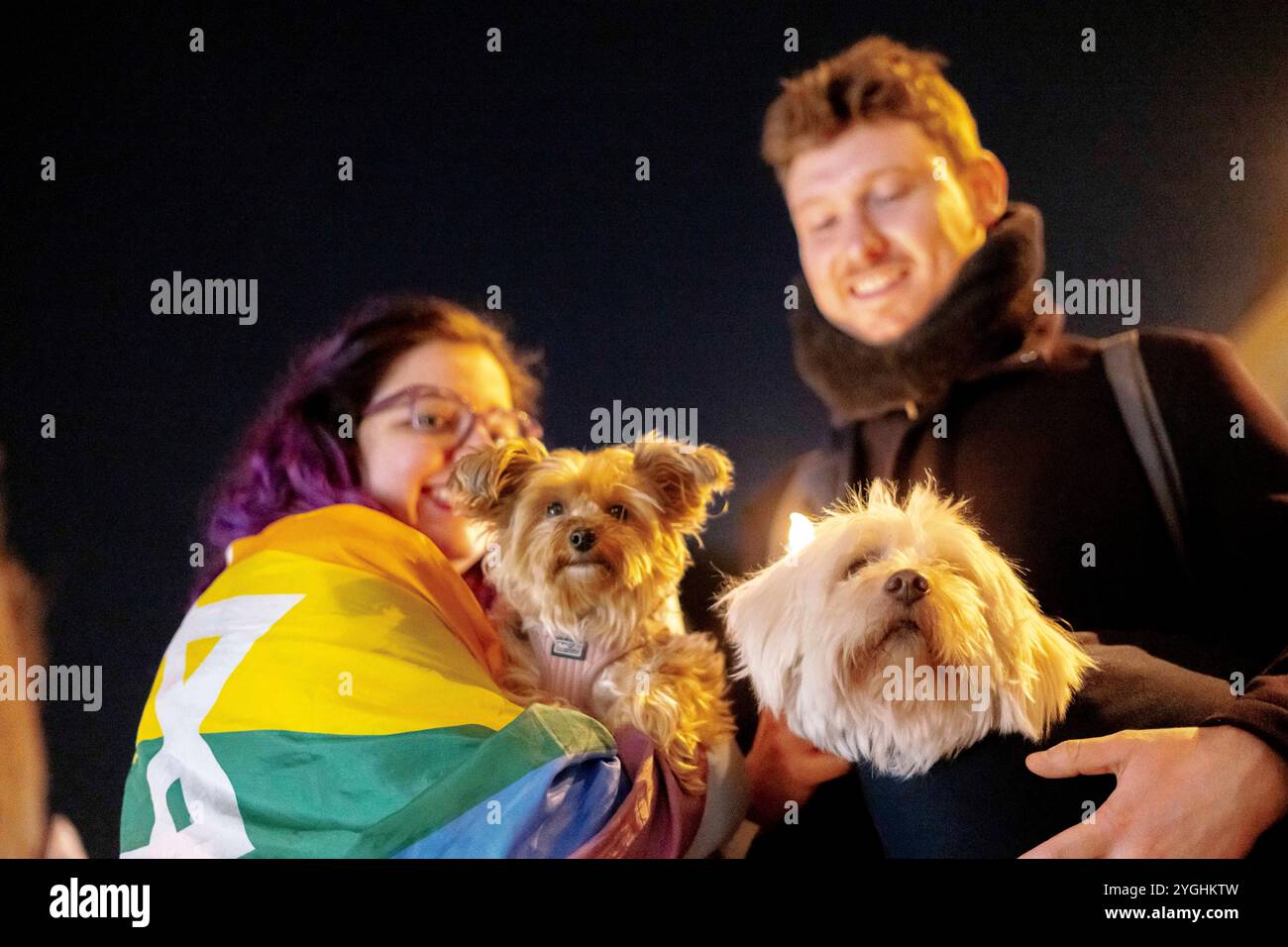 Hund in flagge hi-res stock photography and images - Alamy