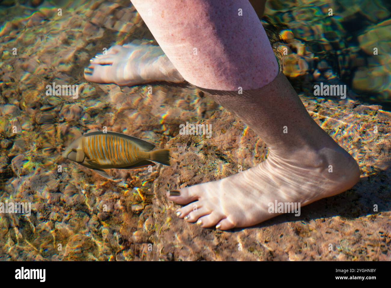 woman feet underwater coral sea ocean, Durban Ballito bay Stock Photo ...